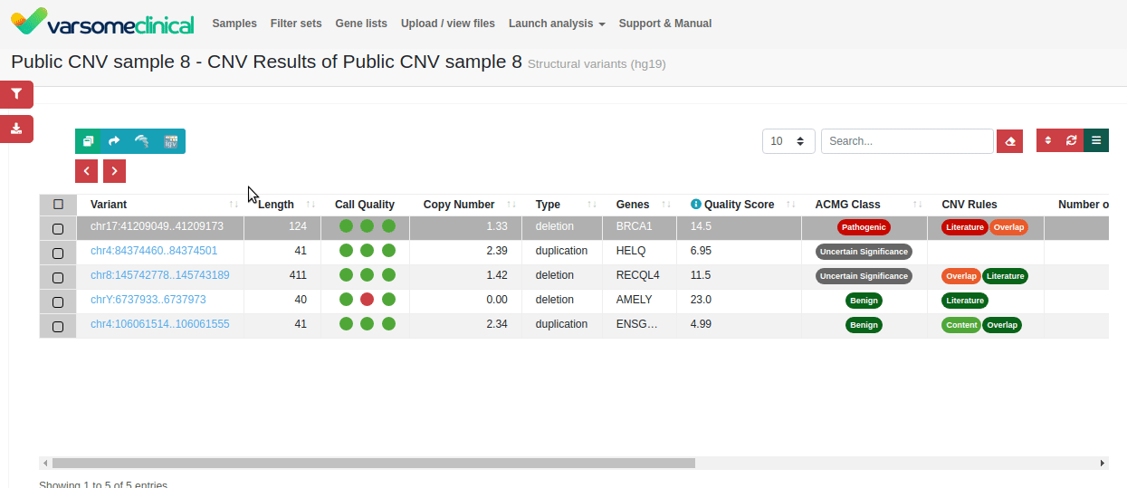 CNV visualization
