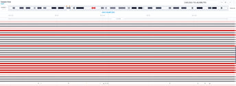Sample View